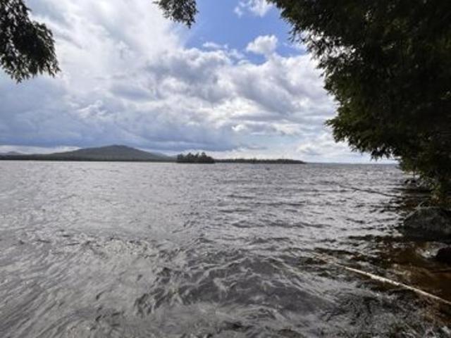 Black Point Rd Lot,beaver Cove, Plot For Sale