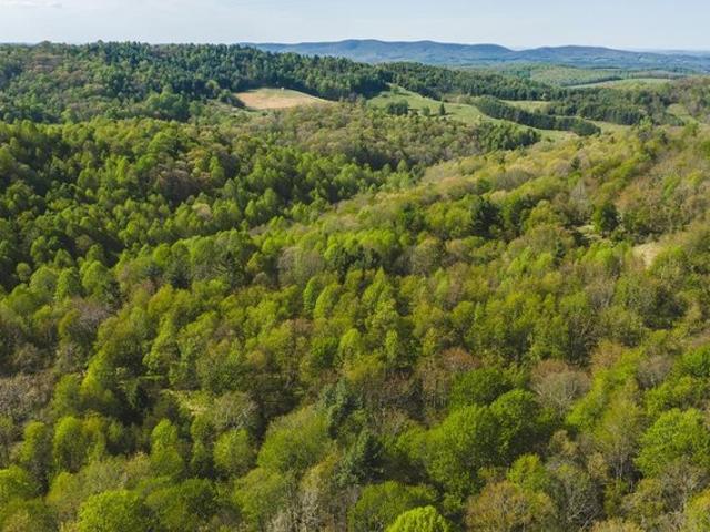 Black Ridge Rd Lot 0, Floyd, VA 24091