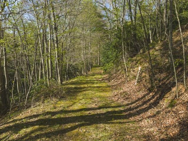 Black Ridge Rd SW, Floyd, VA 24091