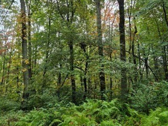 Blackmer Rd, Southbridge, Plot For Sale