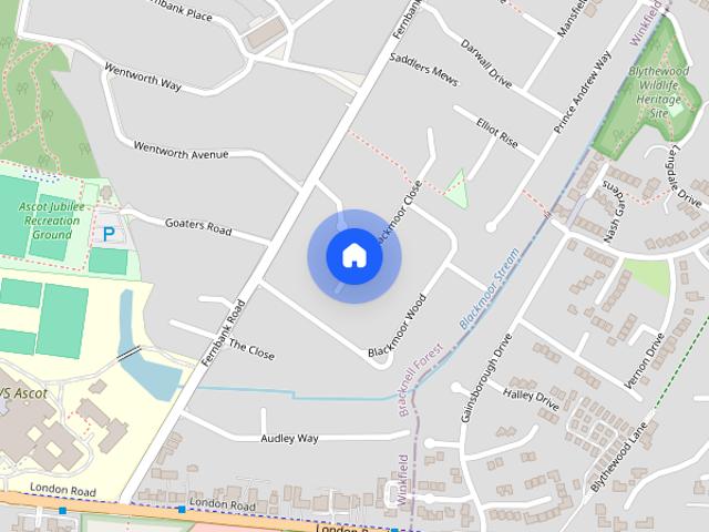 Blackmoor Wood, Ascot, SL5
