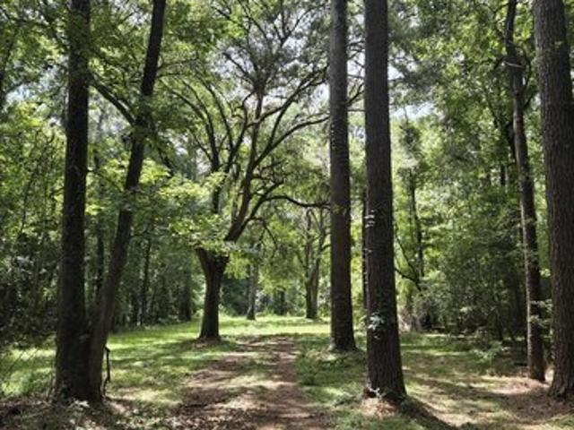 Blackmore Rd, Saint Francisville, LA 70775