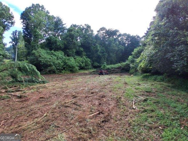 Blackberry Mountain Rd, Ellijay, GA 30536