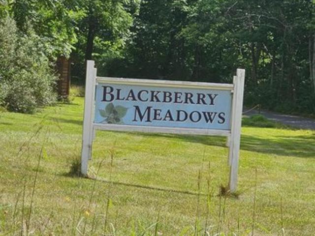 Blackberry No Physical Address Mdws Lot 2, Paw, WV 25434