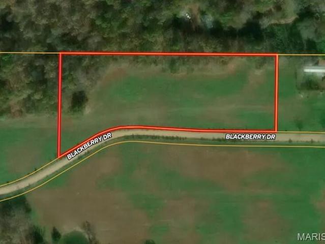Blackberry Dr, Summersville, MO 65571