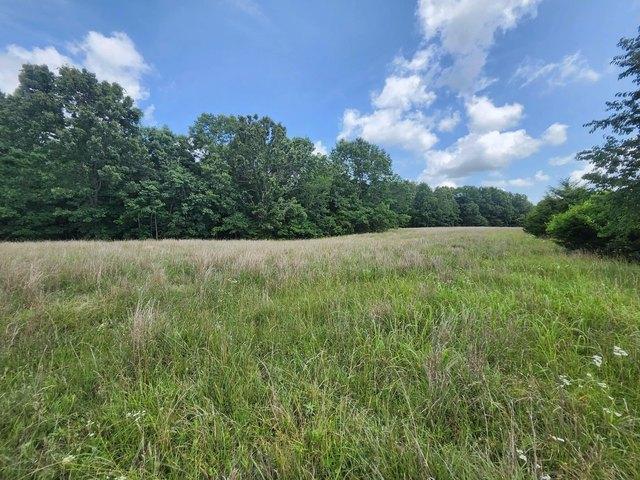 Blackberry Dr, Summersville, MO 65571