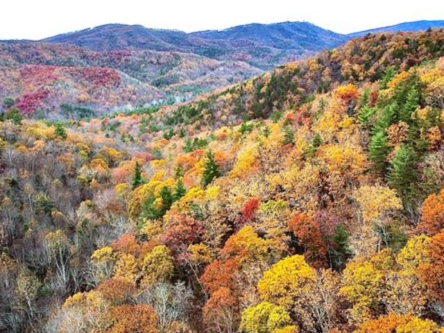 Blackberry Tract B Way Lot 19, Caldwell, WV 24925