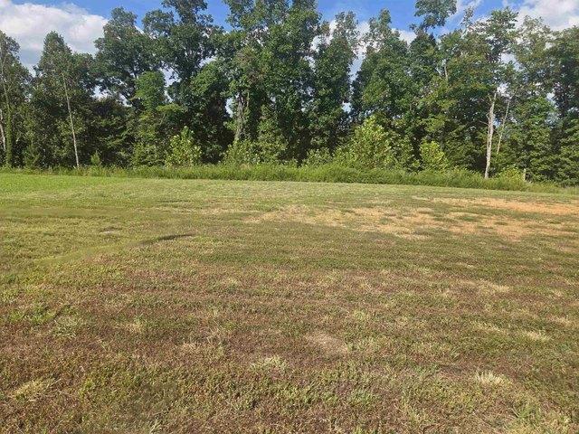 Blackbird Dr Lots 4 & 5, Louisa, KY 41230
