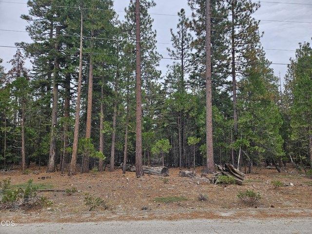 Blackbird Dr Lots 33,34,35, Bonanza, OR 97623