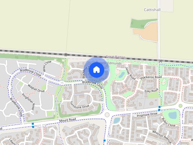 Blackbird Drive, BURY ST. EDMUNDS