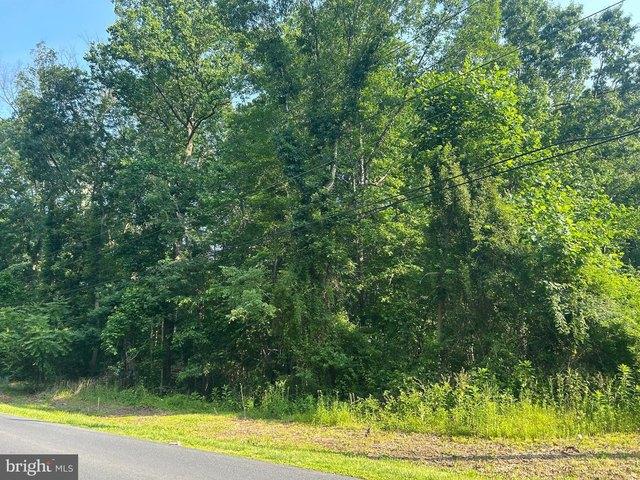 Blackbird Station Rd, Townsend, DE 19734