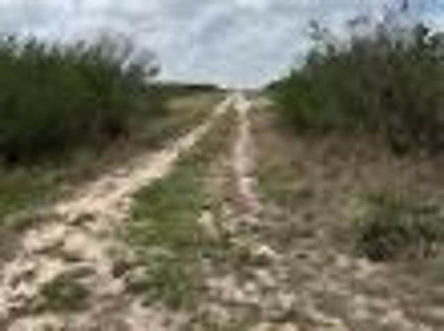 Blackbrush Spur Rd Lot 130, George West, TX 78022