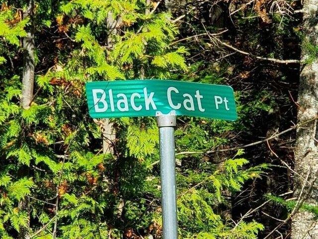Blackcat Pt Dr, Princeton, Plot For Sale