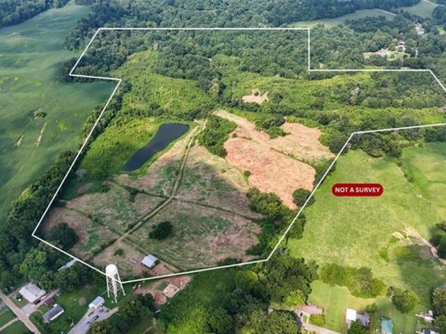 Blackley, Hornbeak, TN 38232