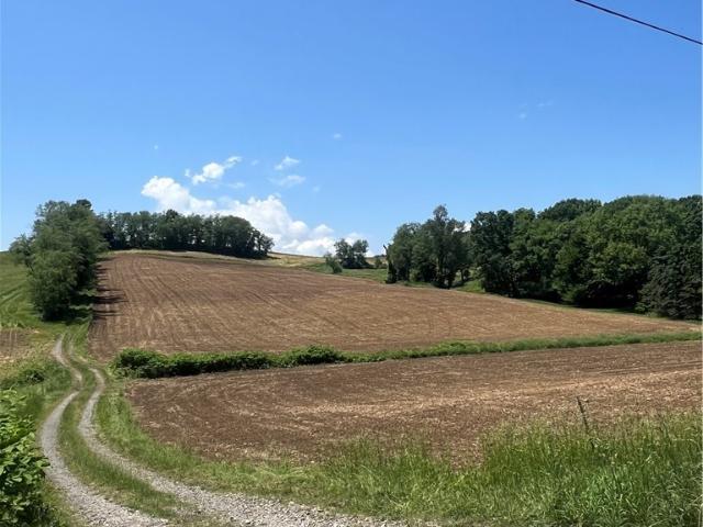 Blacksnake Hill Road