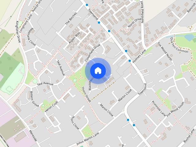 Blackthorn Court, Soham, Ely