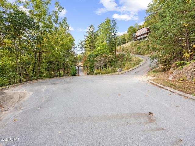 Blackthorn Trail, Sevierville, TN 37876 | MLS #1319