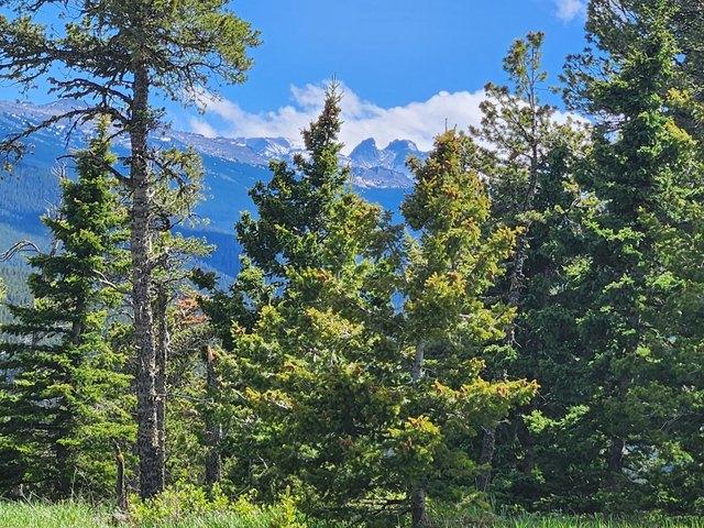 Blacktooth Rd Lot 12, Big Horn, WY 82833
