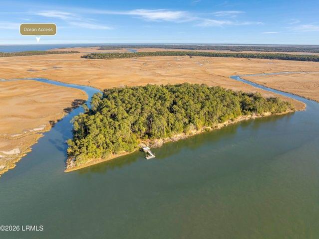 Blackwall Is, Saint Helena Island, SC 29920