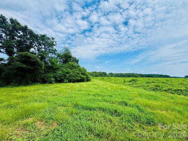 Blackwell Ln, McColl, SC 29570
