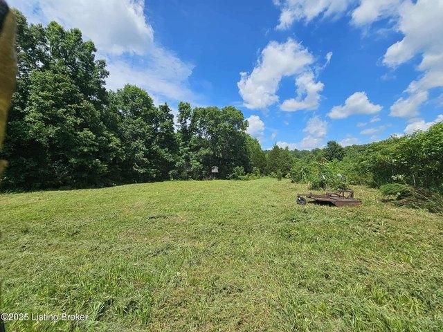 Blain Cannon Rd, Falls Of Rough, KY 40119