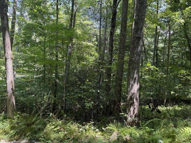 Blair Creek Rdg Lot 5, Hayesville, NC 28904