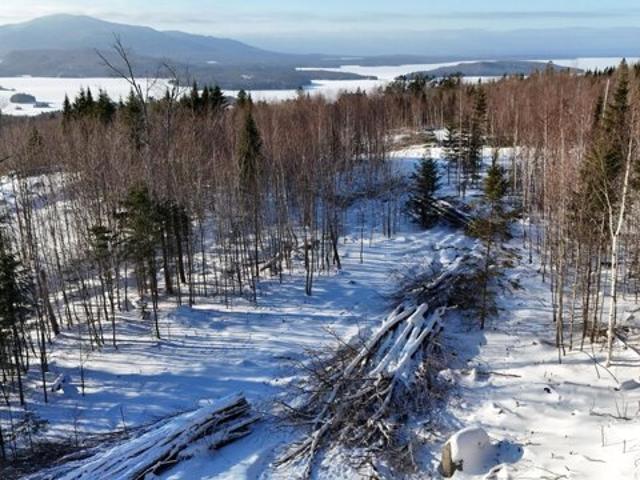 Blair Hill Rd Lot,greenville, Plot For Sale
