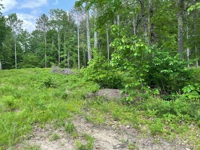 Blake Trl Lot 33, Tuftonboro, NH 03816