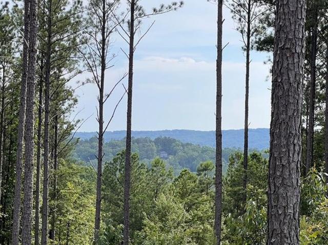 Blalock Mountain Rd Lot 103, Ellijay, GA 30540