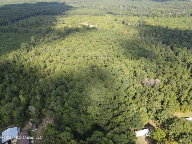 Blanchard Lane, Silver Creek, MS 39663