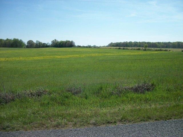 Blanton School Rd, Woodbury, TN 37190