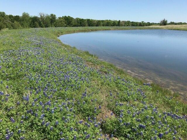 Bleiblerville TX 78931 103500958