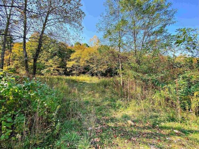 Blizzard Gate Rd, Harman, WV 26270