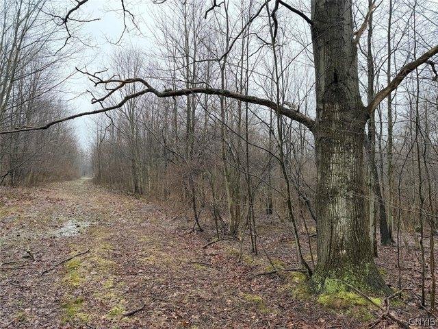 Bliss Rd, Mayville, NY 14757