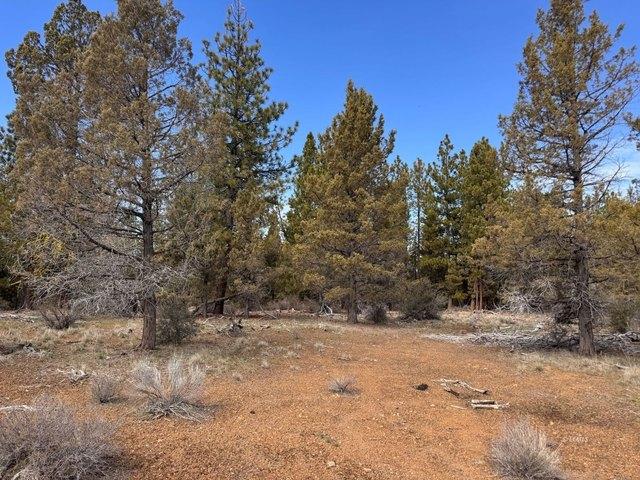Bliss Rd, Sprague River, OR 97639