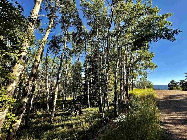 Blk1 Last Chance Trail C Trl Lot 2, Lead, SD 57754