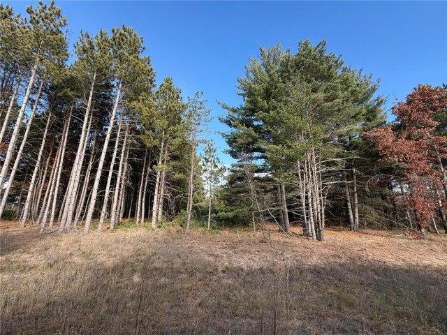 Blk1 262nd Ave NW L2, Big Lake, MN 55309