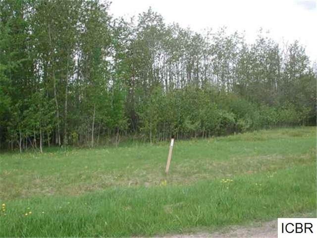 Blk 3 Aspen Dr Lt 2, Deer River, MN 56636
