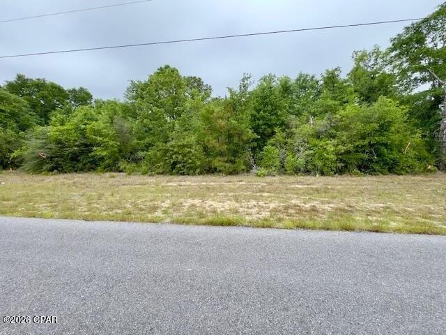 Blk 0569 Airmont Dr Lot 19, Chipley, FL 32428