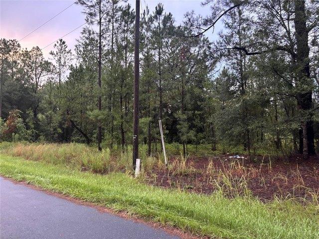 Blk 1122 Lot 13, Ocala, FL 34472