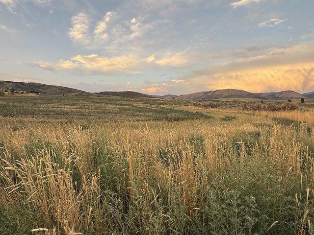 Blk 1 Tbd Lakey Phase 2 Loop Lot 6, Soda Springs, ID 83276