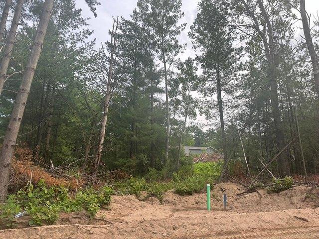 Blk 1 Lot 3, Ridgewood Drive Randall, MN 56475