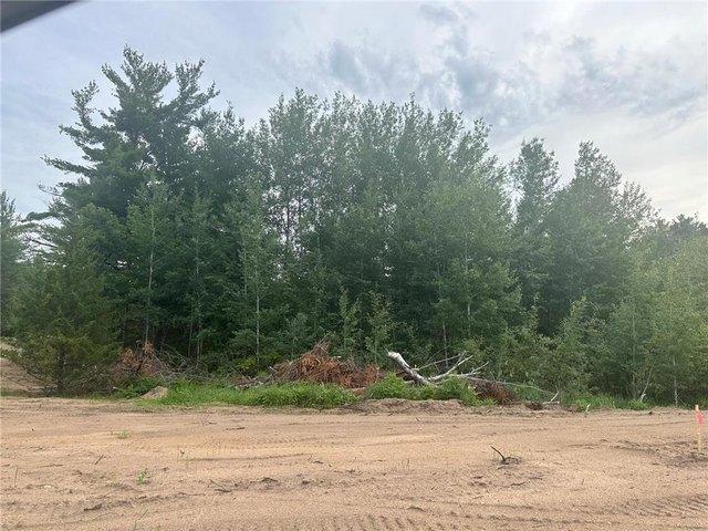 Blk 1 Lot 11, Brummer Drive Randall, MN 56475