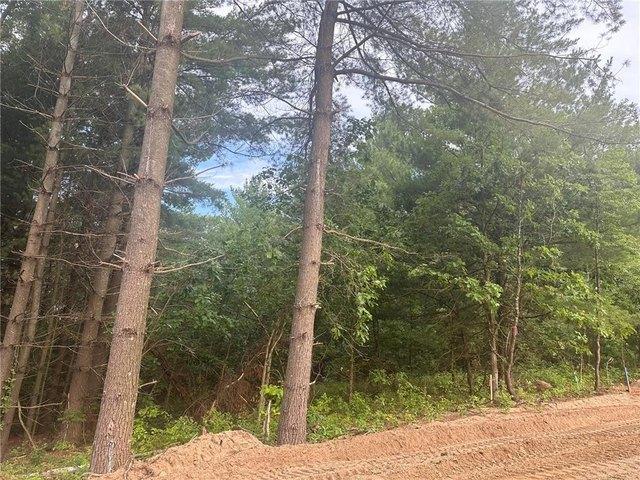 Blk 1 Lot 9, Brummer Drive Randall, MN 56475