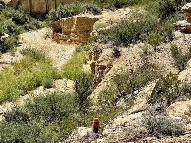 BLK 217 Mailbox Rd, Terlingua, TX 79852