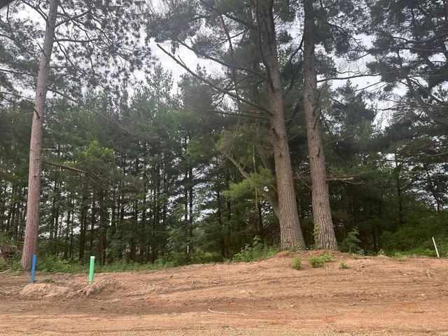 Blk 2 Lot 2, Ridgewood Drive Randall, MN 56475