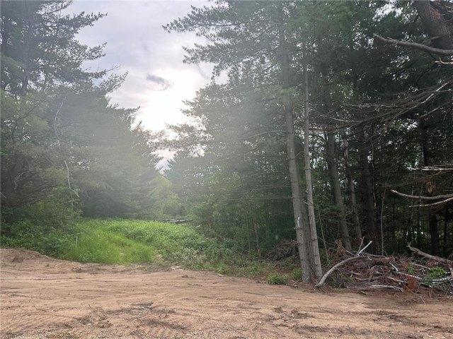 Blk 2 Lot 6, Ridgewood Drive Randall, MN 56475