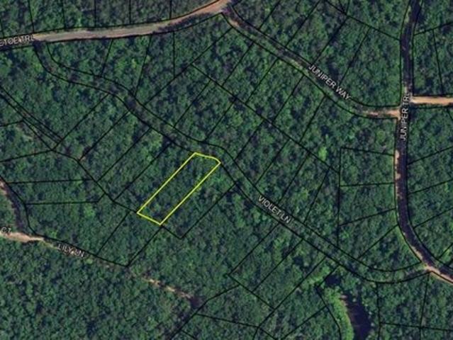 Blk 38 Violet Ave Lot 02, Waverly Hall, GA 31831