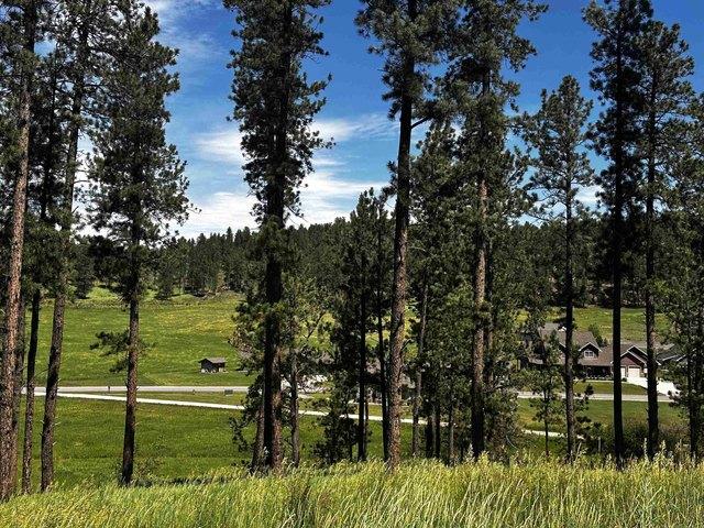 Blk 7 Lot Tbd Lakewood Ct Lot 6, Hill City, SD 57745