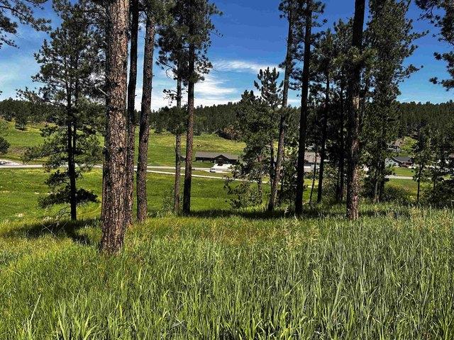 Blk 7 Lot Tbd Lakewood Ct Lot 7, Hill City, SD 57745